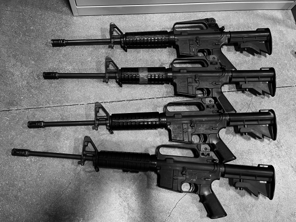 SIONICS Law Enforcement Program » SIONICS Weapon Systems